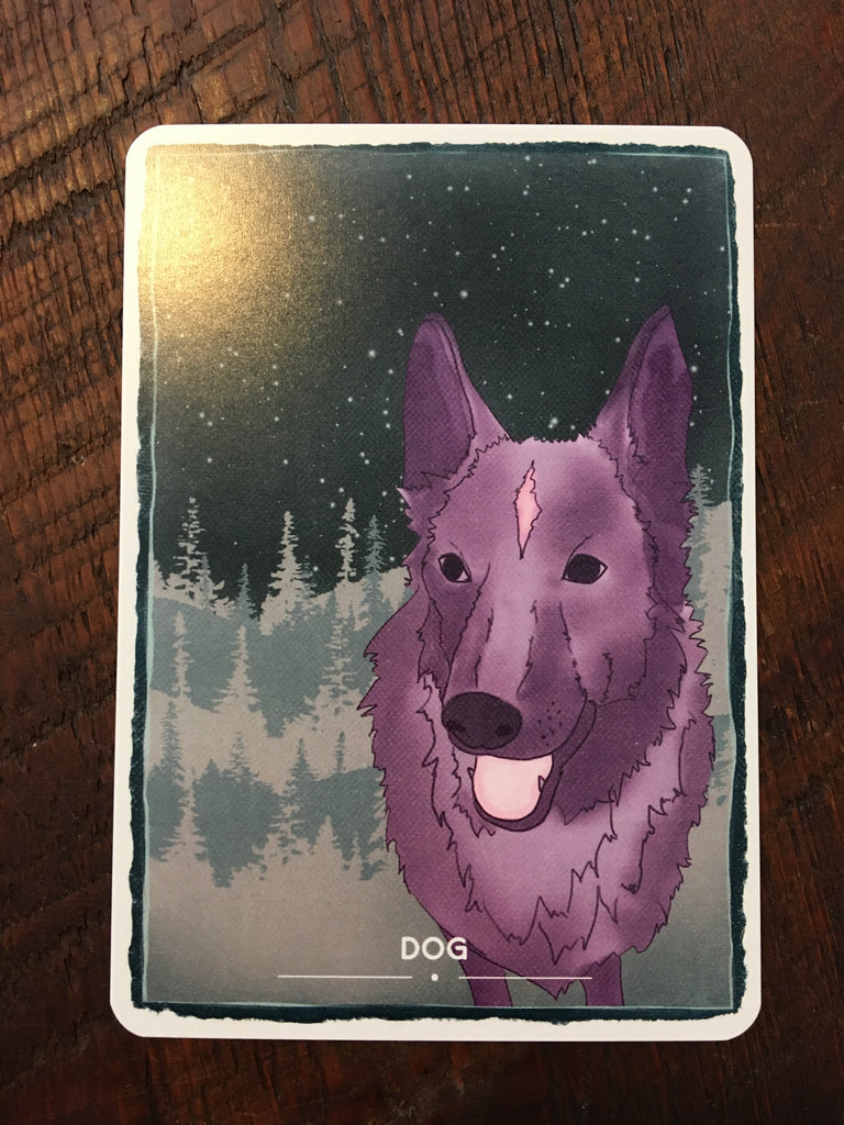 Animal Magic Oracle Cards